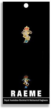 Jewellery: RAEME Badge Lapel Pin